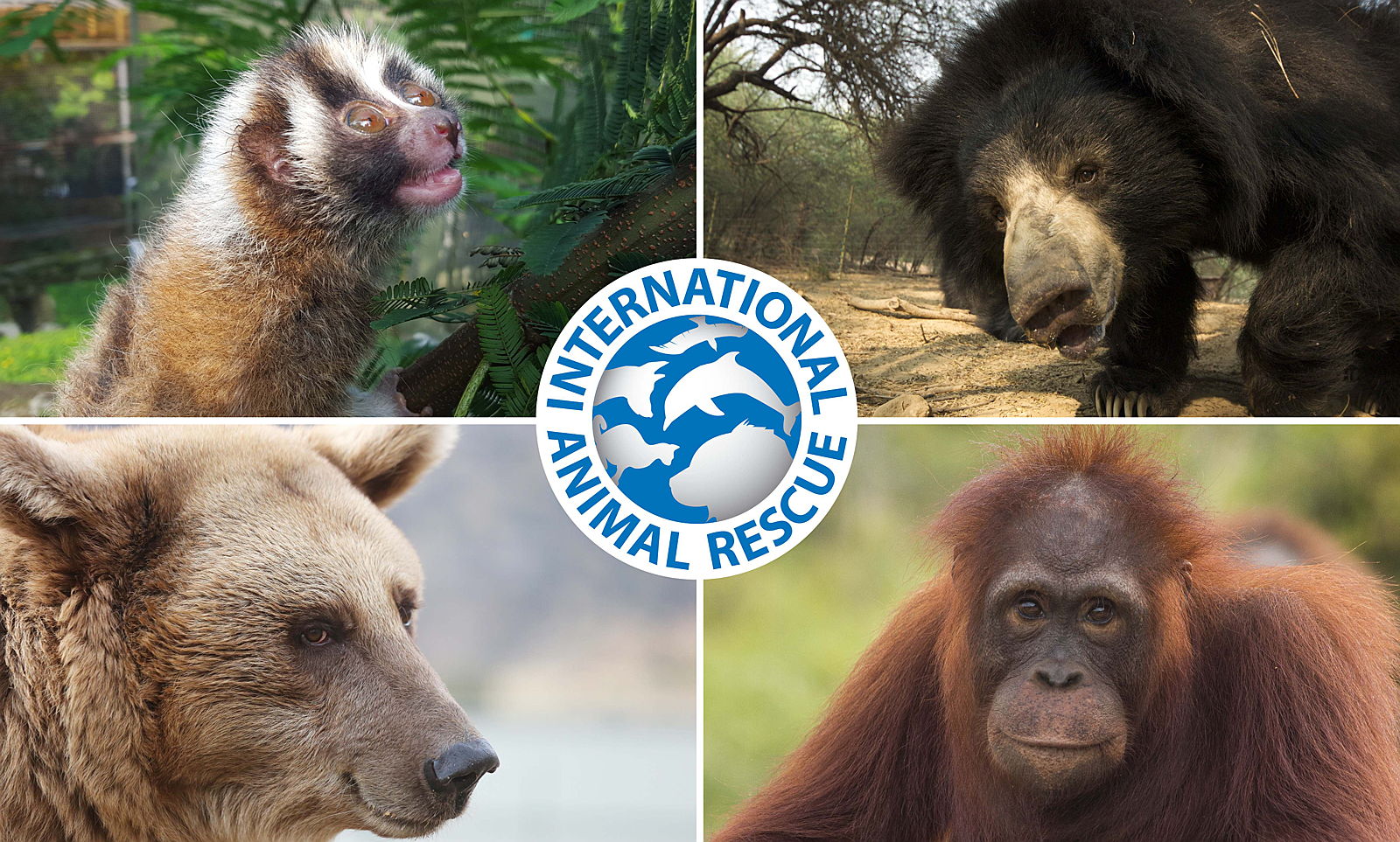 Gnation - JustGiving of the Year finalists announced - News