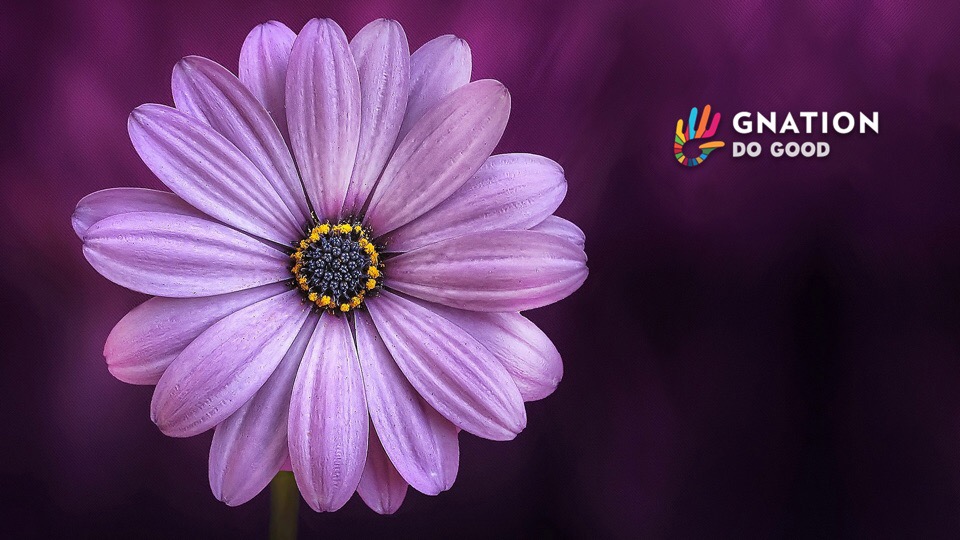 Gnation - New device can detect cancer in just a drop of blood - News