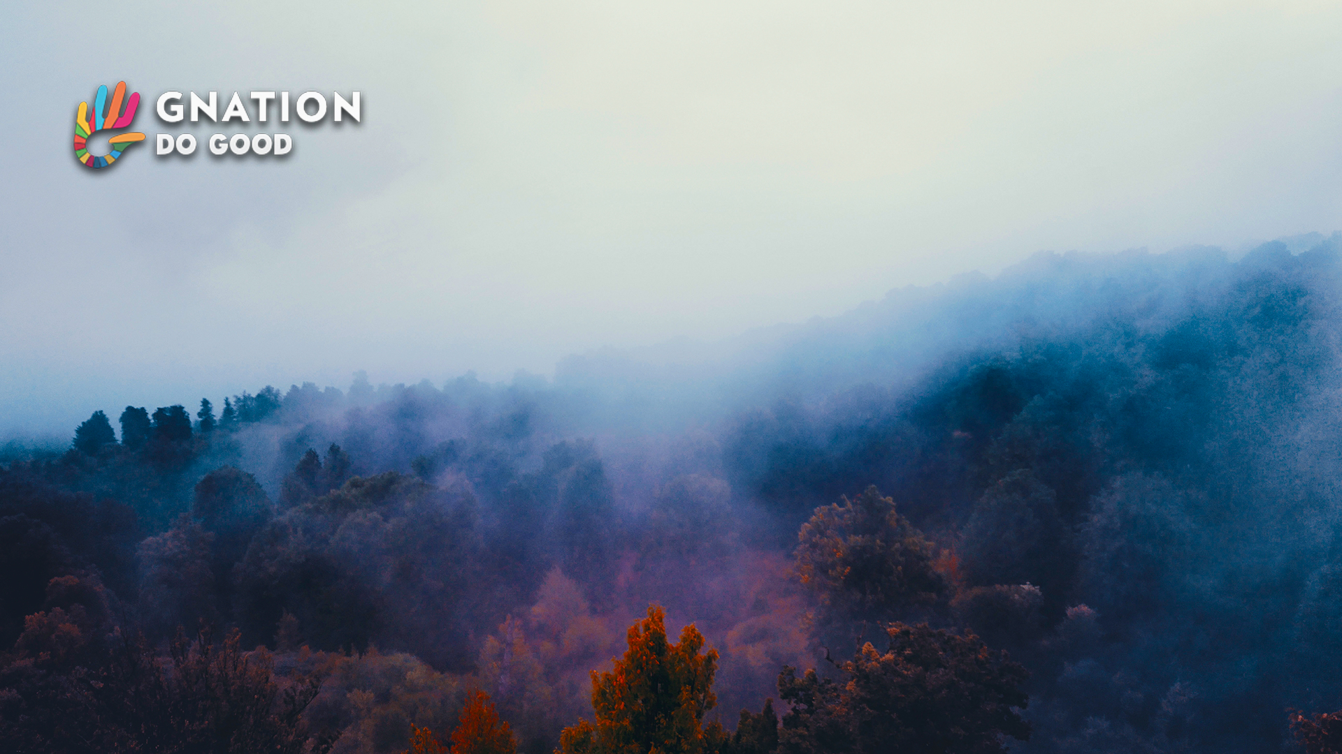 Gnation - OVERWATCH LEAGUE PLAYERS DONATE AID FOR DEVASTATING KOREAN ...